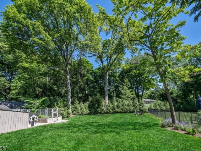979 Salem Ln