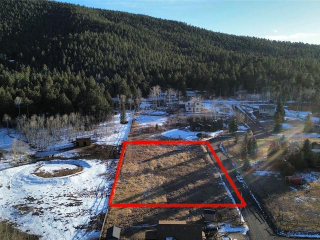 9802 Arnold St, Conifer, CO 80433 | MLS #5255