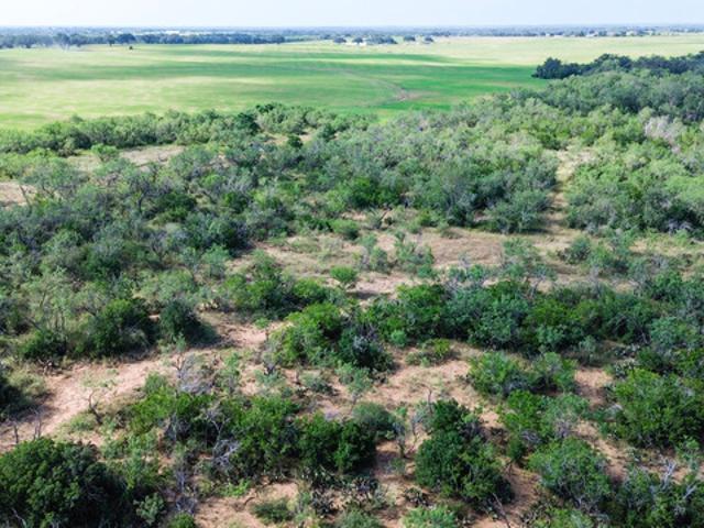 980 Mann Rd 01