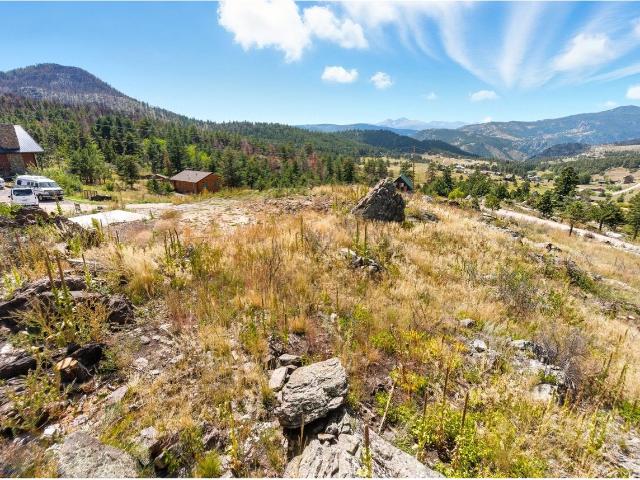 981 Palisade Mountain Dr, Drake, CO 80515 | MLS #1063