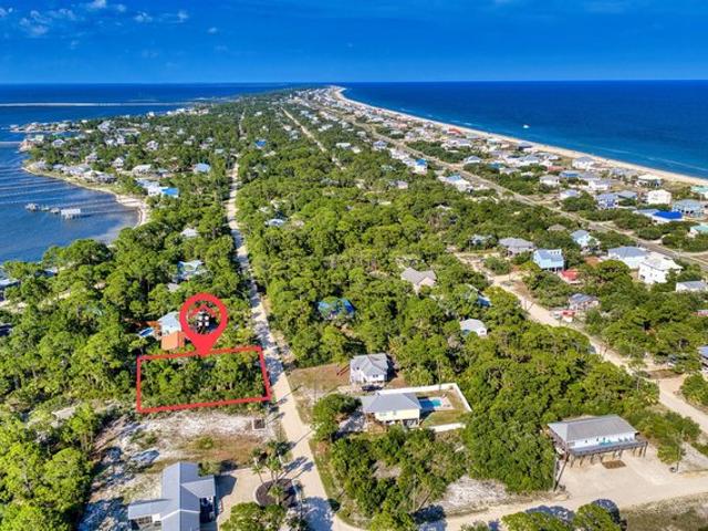 981 W Bayshore Dr, Saint George Island, FL 32328