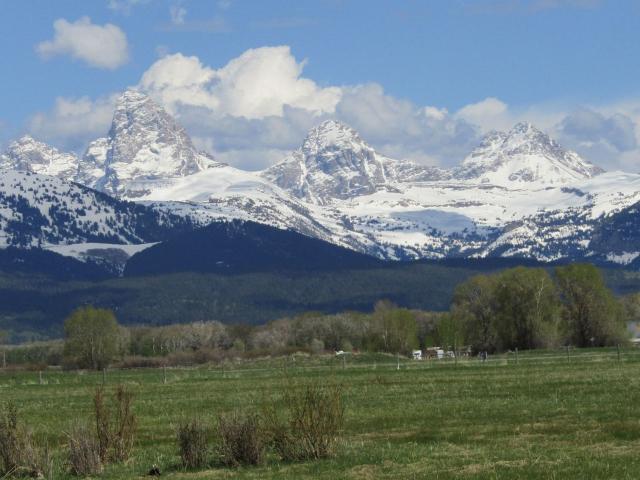 981 Wren Ct, Tetonia, ID