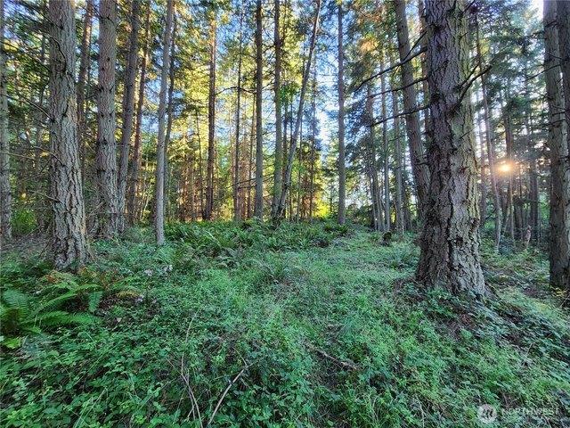 1664 Lancaster Rd, Freeland, WA 98249