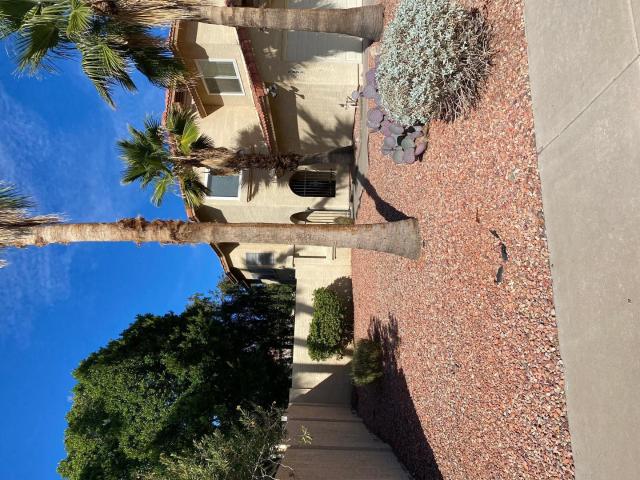 9828 S 44th Street