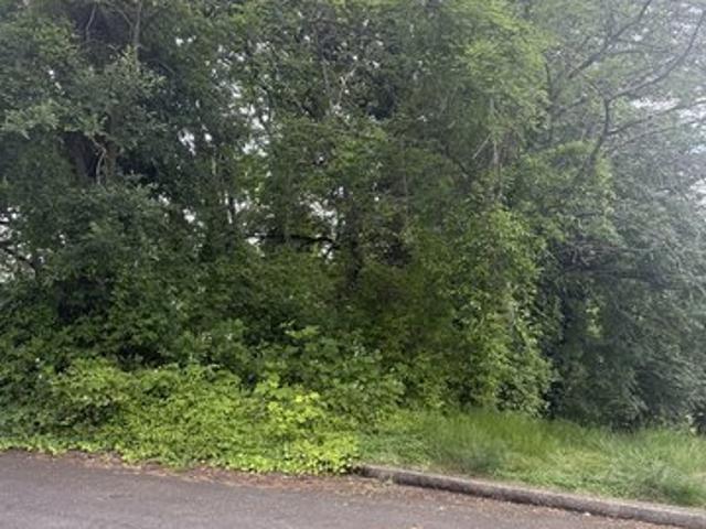 9821 SW 34th Pl, Portland, OR 97219