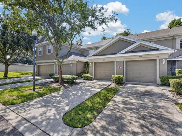 9831 Blue Palm Way, Tampa, FL 33610