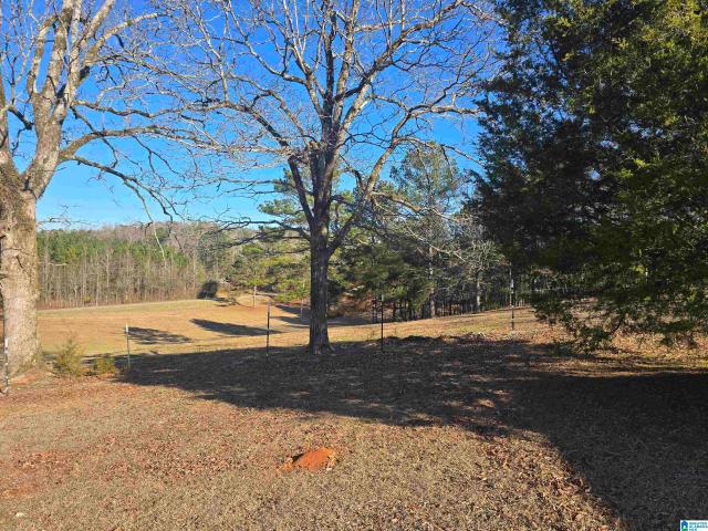 983 County Road 59