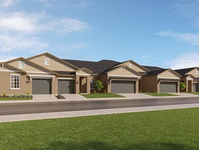 9843 Rye Cobia Dr, Land O Lakes, FL 34638