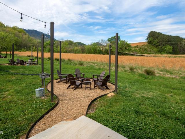 984 Goose Gap Road