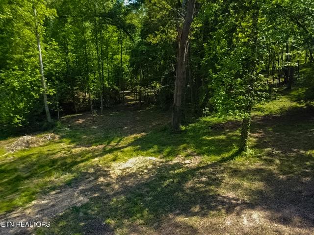 984 Deerwood Drive