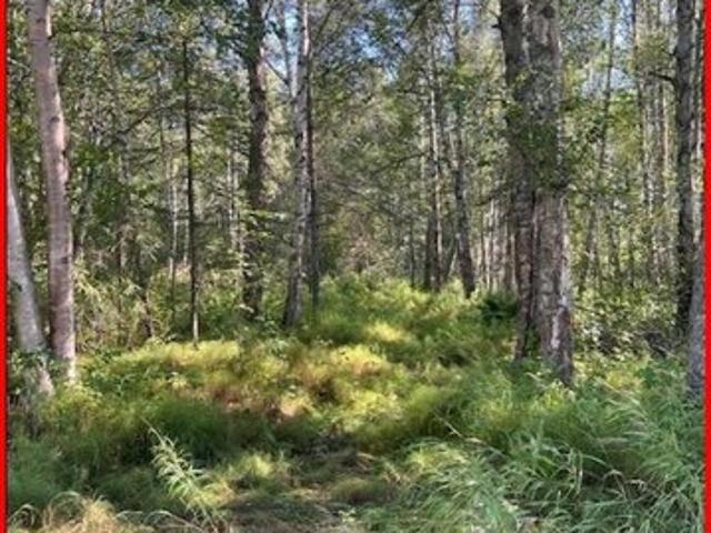 9865 S Twilight Dr, Wasilla, AK 99623