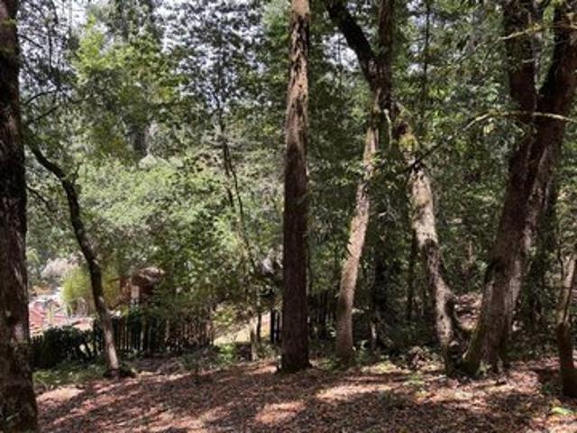 9868 Hillside Dr, Forestville, CA 95436