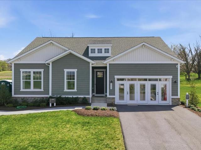 9863 Ripple Drive