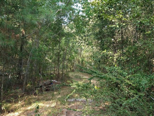 986 County Road 325, Cleveland, TX 77327 | MLS #11584 | Compass