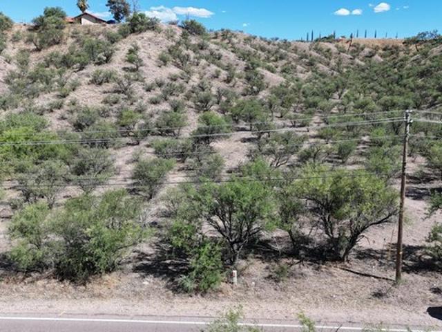 986 Camino Caralampi Ln Unit 13, Rio Rico, AZ 85648