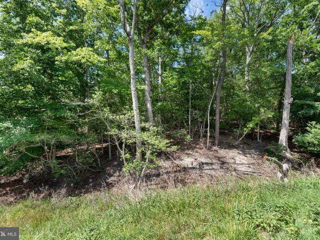 986 Cherokee Court
