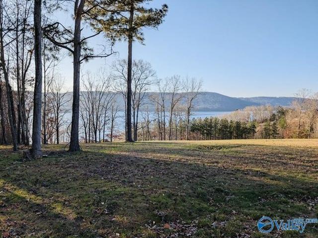 986 Monte Sano Dr, Scottsboro, AL 35769