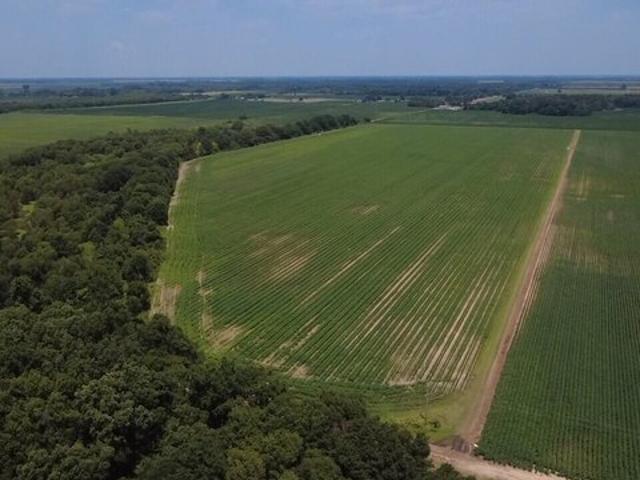 986 Park Grove Rd, Clarendon, AR 72029