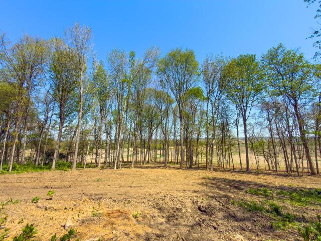 9874 Cincinnati Zanesville Road SW