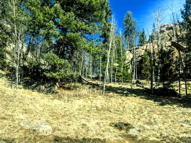 987 Eagle Rock Rd, Florissant, CO 80816