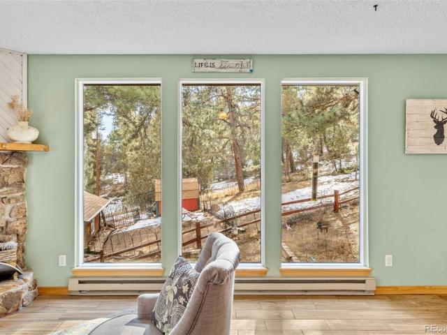 987 Wisp Creek Dr, Bailey, CO 80421 | MLS #9062