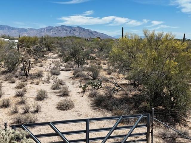 9888 N Carolanne Dr, Tucson, AZ 85742