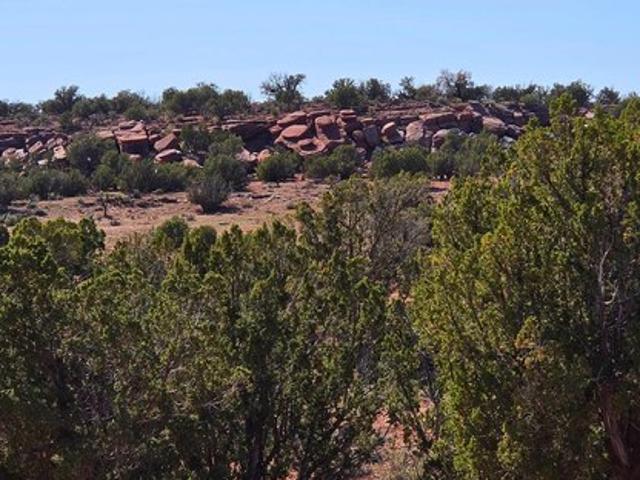 9880 Texas Ln, Show Low, AZ 85901