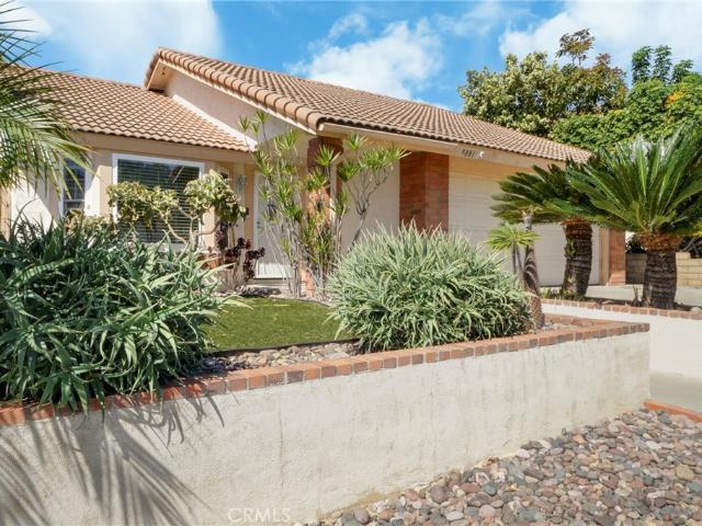 9881 Dauntless Street
