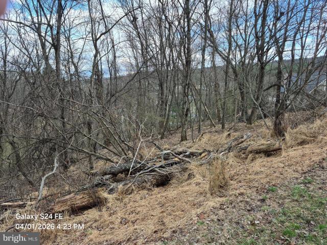 988 Horseman Dr, Auburn, PA 17922 | MLS #PASK2026