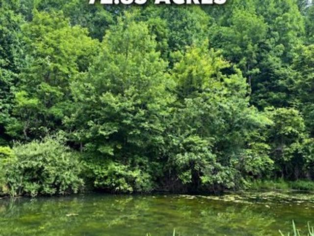 9893 W Webster, Summersville, WV 26651