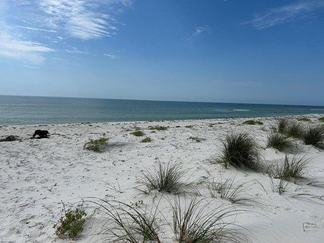 989 Gulf Shore Dr Lot 12/1, Carrabelle, FL 32322