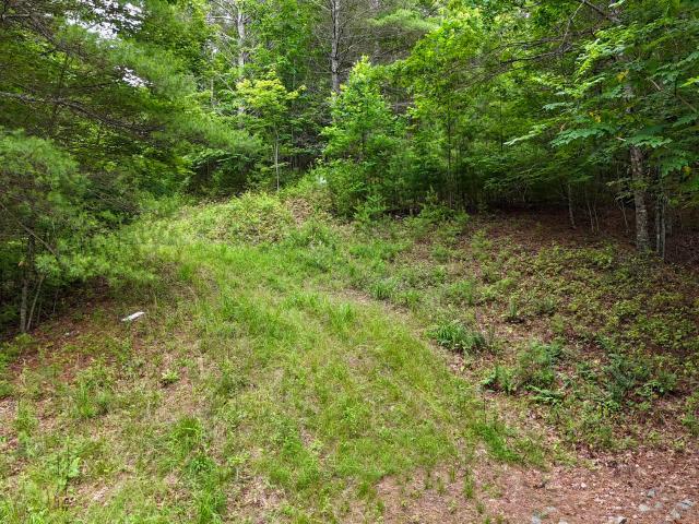 98 103 Choctaw Ridge Trail