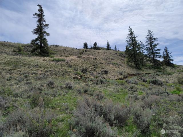 98 Tyee View Loop Rd, Waterville, WA 98858 | MLS #2230