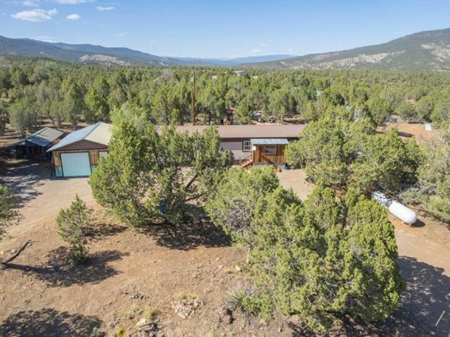 98 Wandering Hills Pl, Arboles, CO 81121
