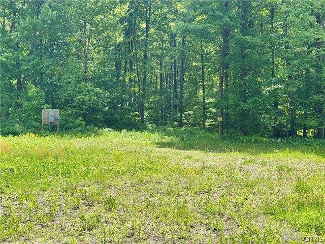 98 Wooliver Rd, Richland, NY 13144