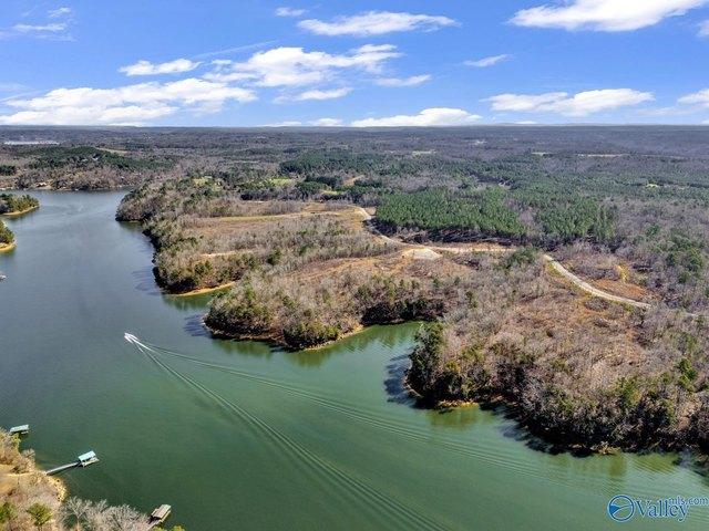 98 Acres County Road 102, Bremen, AL 35033
