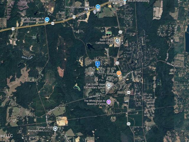 98 Baneberry Trace