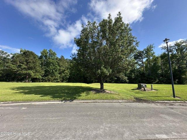 98 Carolina Way Lot 77, Arapahoe, NC 28510