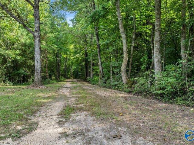 98+/ County Road 209