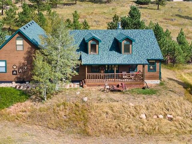 98 Deadhorse Mountain Ct, Livermore, CO 80536