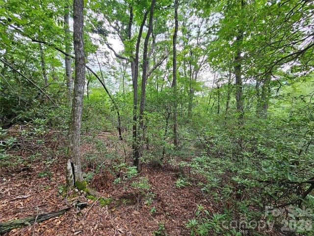 98 Down to Earth Dr Unit 98, Burnsville, NC 28714