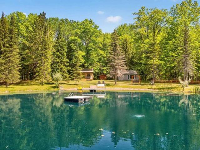 98 Fram, Rose City, MI 48654