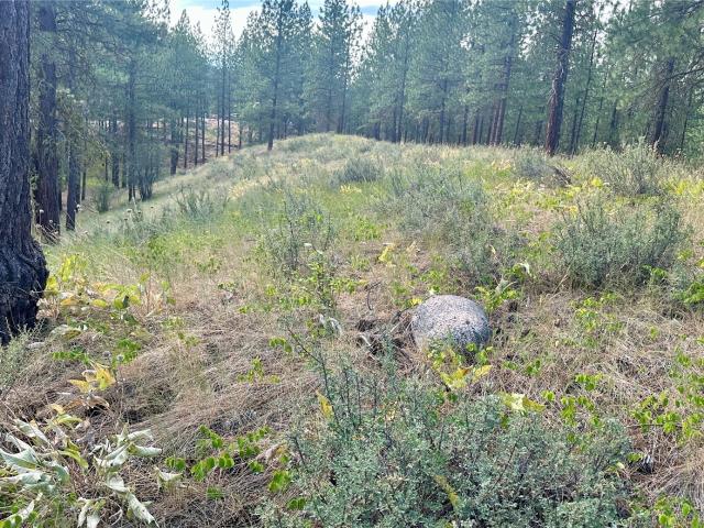 98 Larkspur Dr, Winthrop, WA 98862 | MLS #2506