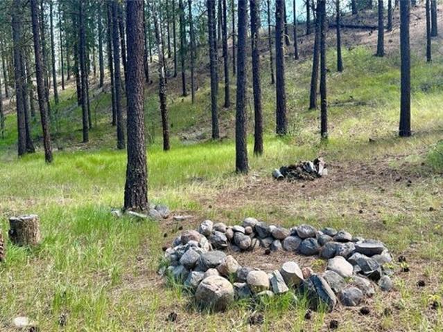 98 Larkspur Dr Lot 29, Winthrop, WA 98862