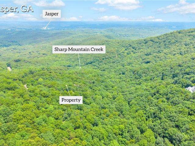 98 Sharp Mountain Parkway