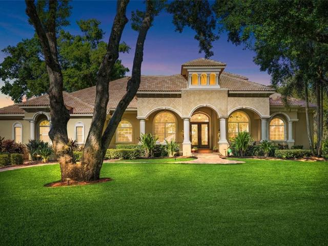 9901 Menander Wood Ct, Odessa, FL 33556 | MLS #TB8498 | Compass