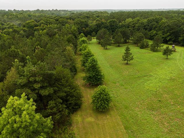 990 ga hwy 49 s