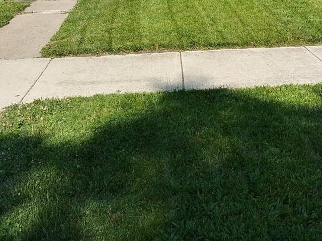 9918 S Hoxie Ave, Chicago, IL 60617 | MLS #12510 | Compass