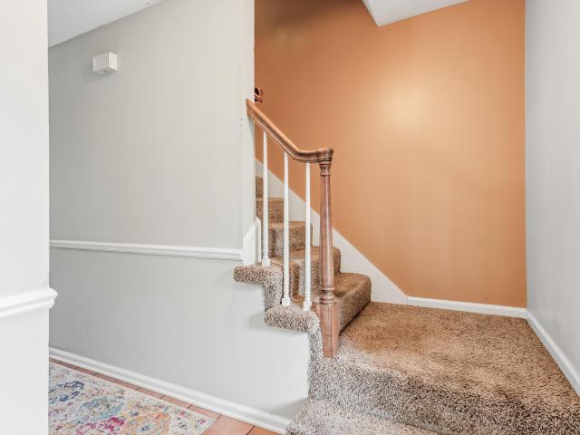 9919 E Limberlost Trail