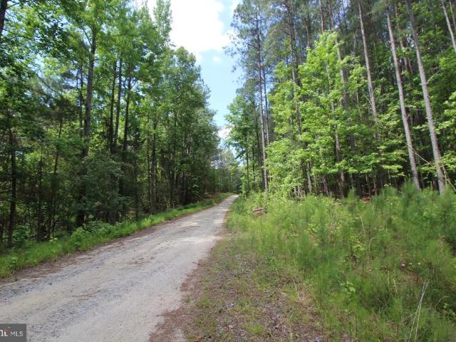 9911 Elys Ford Road